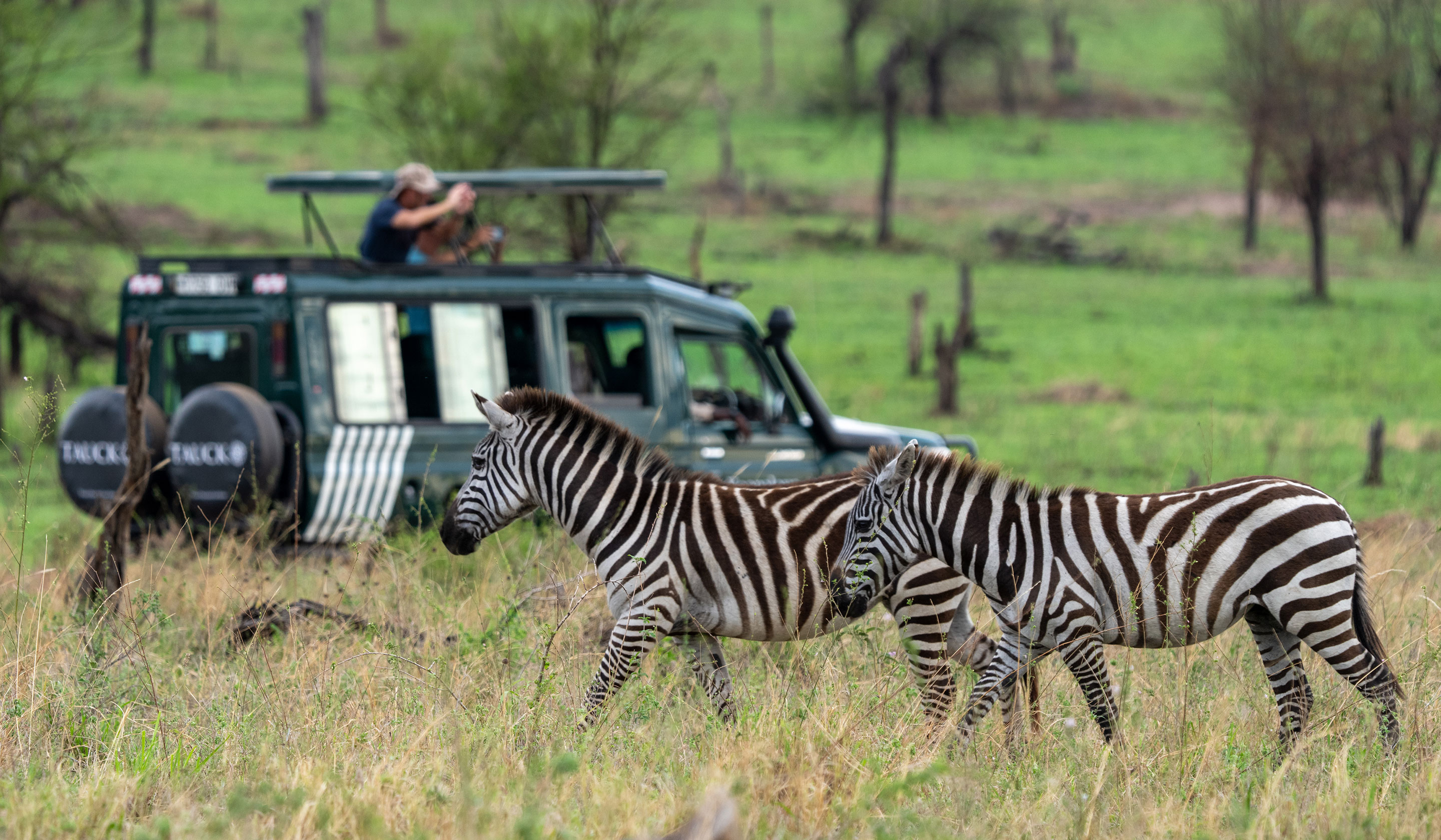 On Safari with Tauck | Tauck