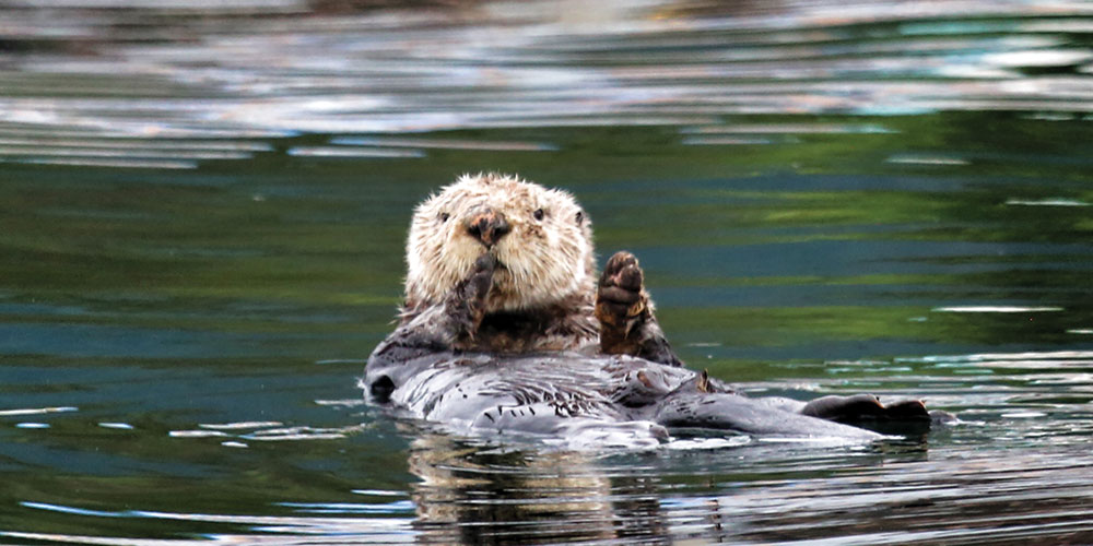 Glacial Beauty - The Taucker Travel Blog
